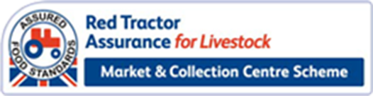 Pedigree registered Angus cattle for sale - Gear Farm