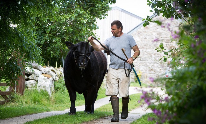 Best Beef Farmer – Cornwall Farm Business Awards 2017